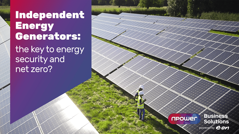 npower Business Solutions: independent energy generators and net zero